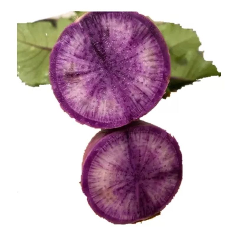 Rabanete Roxo kg
